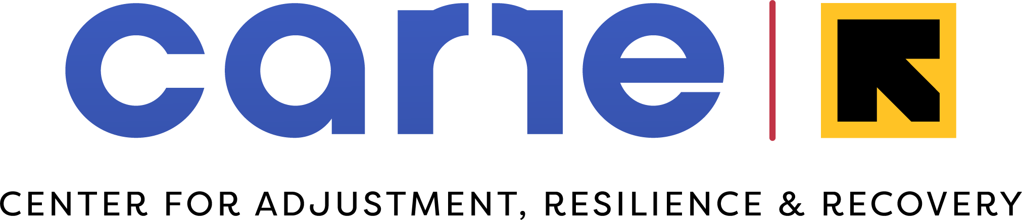 Home – IRC CARRE